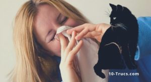 Allergie aux chats, 10 trucs à savoir