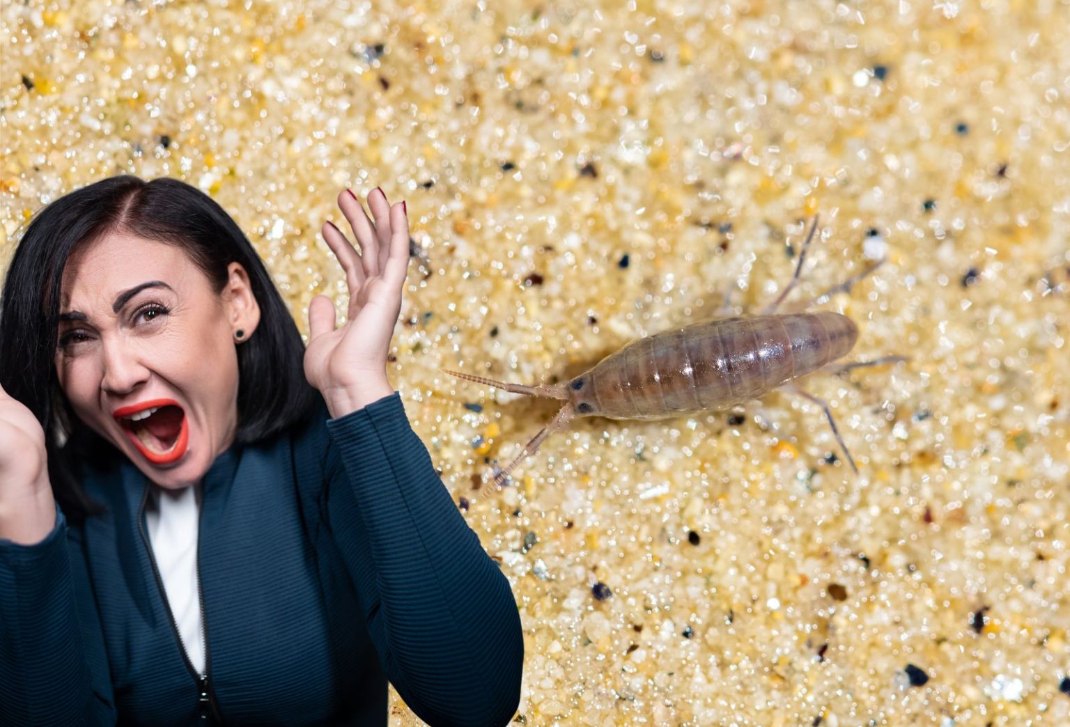 10 jeux pour l'Halloween faciles et amusants pour les enfants