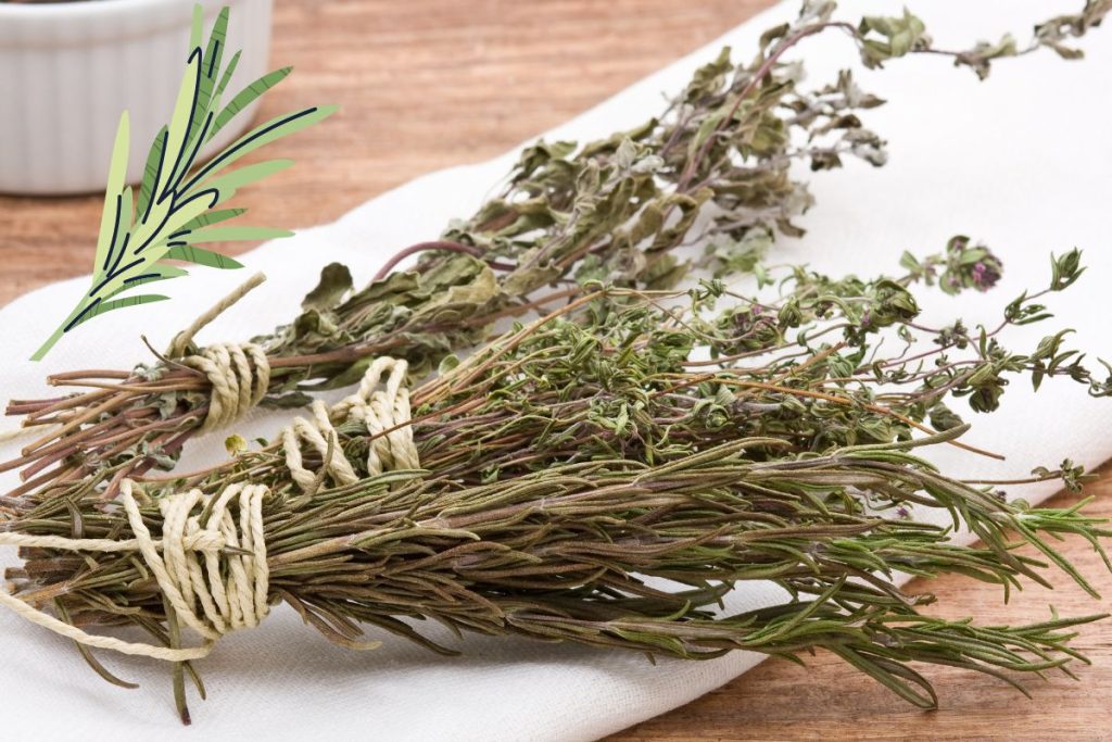 Comment faire sécher les fines herbes ? Astuces faciles et rapides à ...