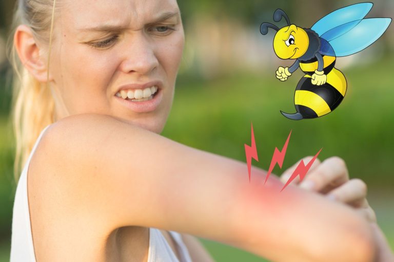 Puces de sable: astuces et solutions