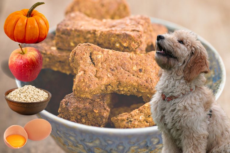 Recette de biscuits pour chien à la pomme et citrouille